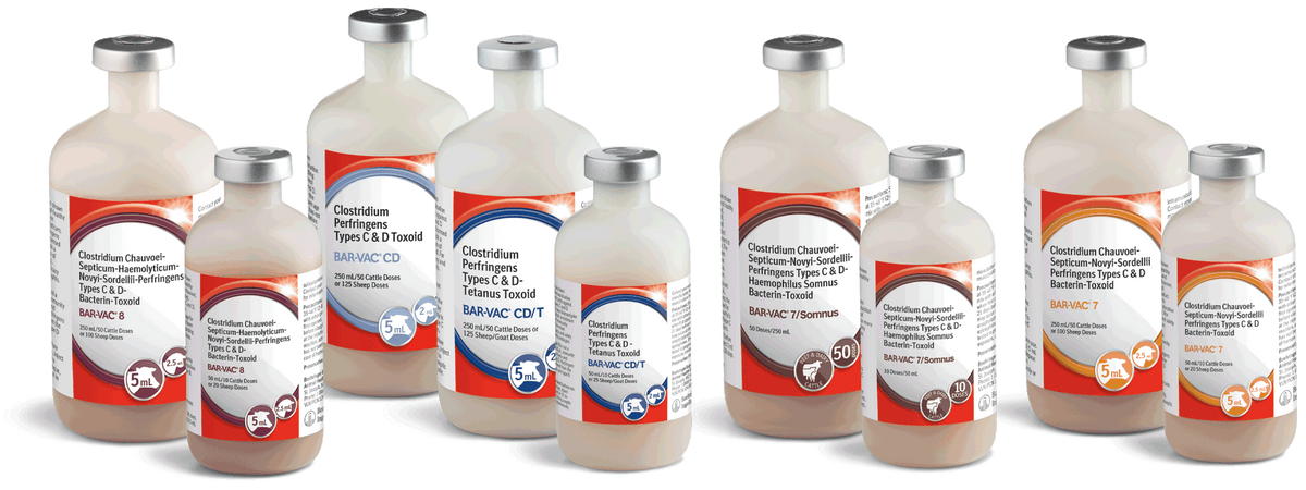 Boehringer Ingelheim Bar-Vac 7 Cattle and Sheep Vaccine - Lubbock, TX ...